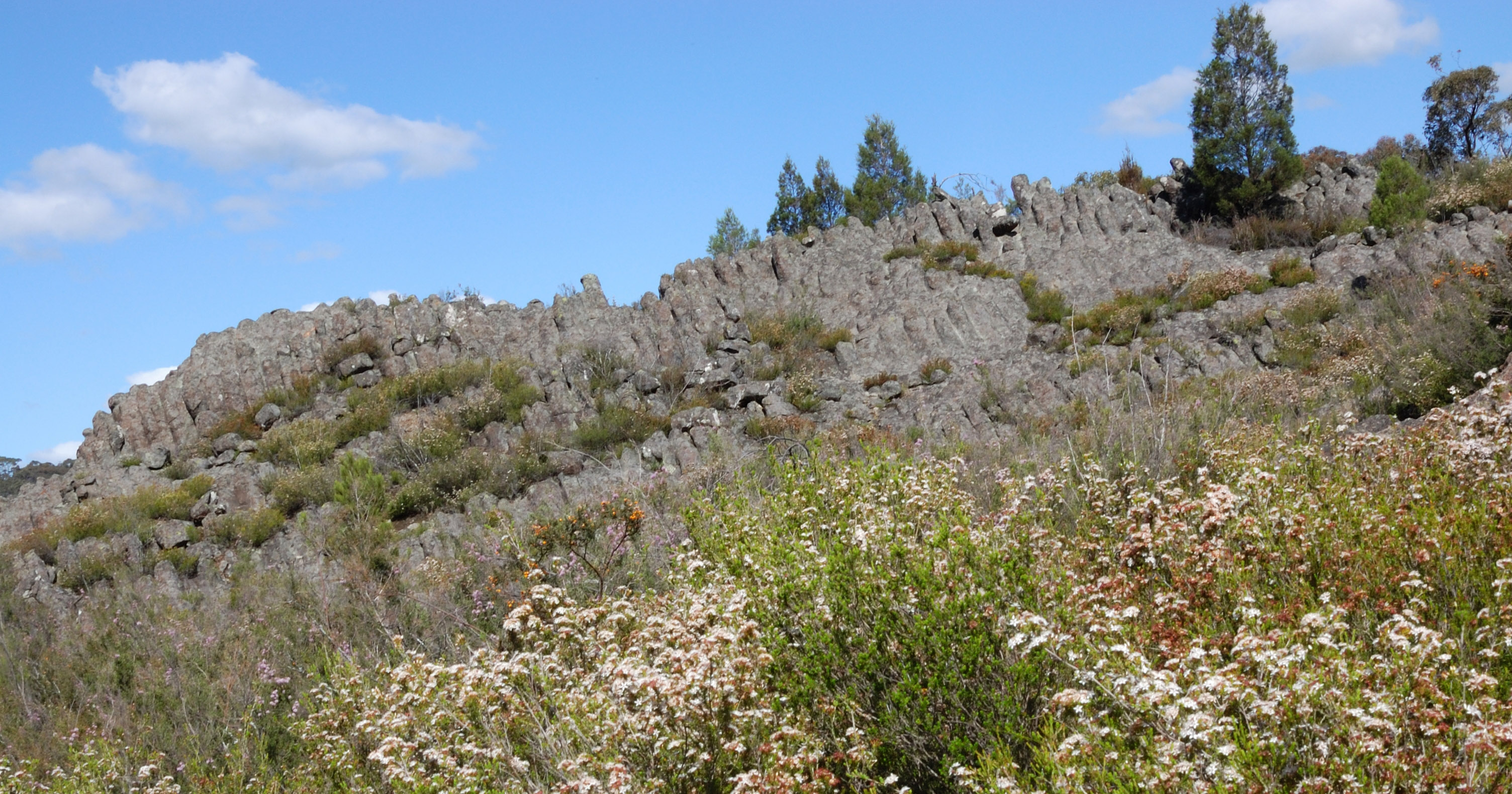 Aboriginal Dreaming Story of Gaanha-bula (Mt Canobolas) – CCA – Save Mt ...